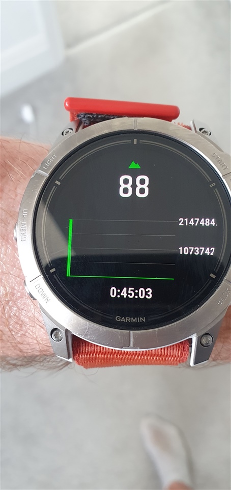 Altimeter graph bug in Run activity after 22.06 upgrade - Epix (Gen 2) Series - Wearables ...