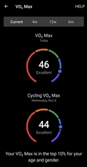 Minor but annoying to me. My V02 max went up to 46 today and that ...