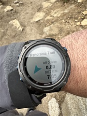 Elevation plot error/bug - Descent Mk2 Series - Wearables - Garmin Forums