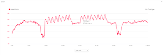 Feature Request: Show HR zones on HR graph in activity - Garmin Connect ...