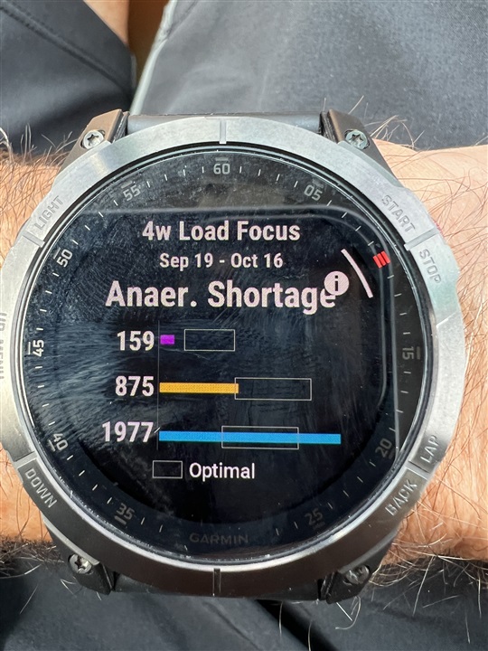 Training Focus and Exercise Load of Garmin Coach workouts become ...