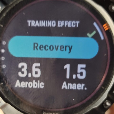 25.00 Primary Training Effect continues to be wrongly categorised on ...