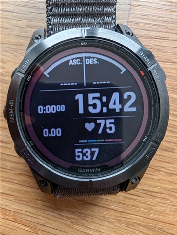[BUG] Icons missing from activity screen with black background - fēnix ...